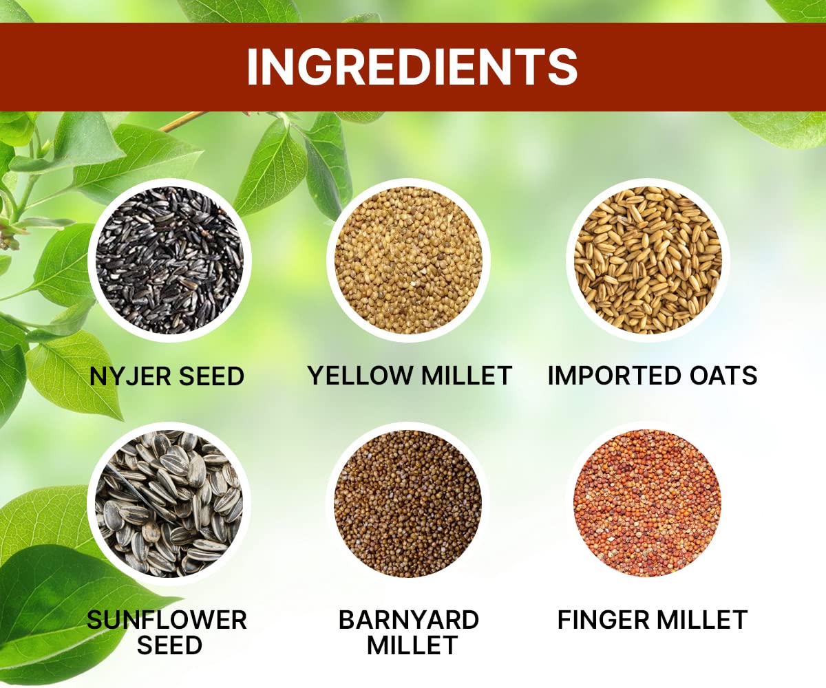 Thor Natural and Healthy Seed Mix Bird Food For All Life Stages ...