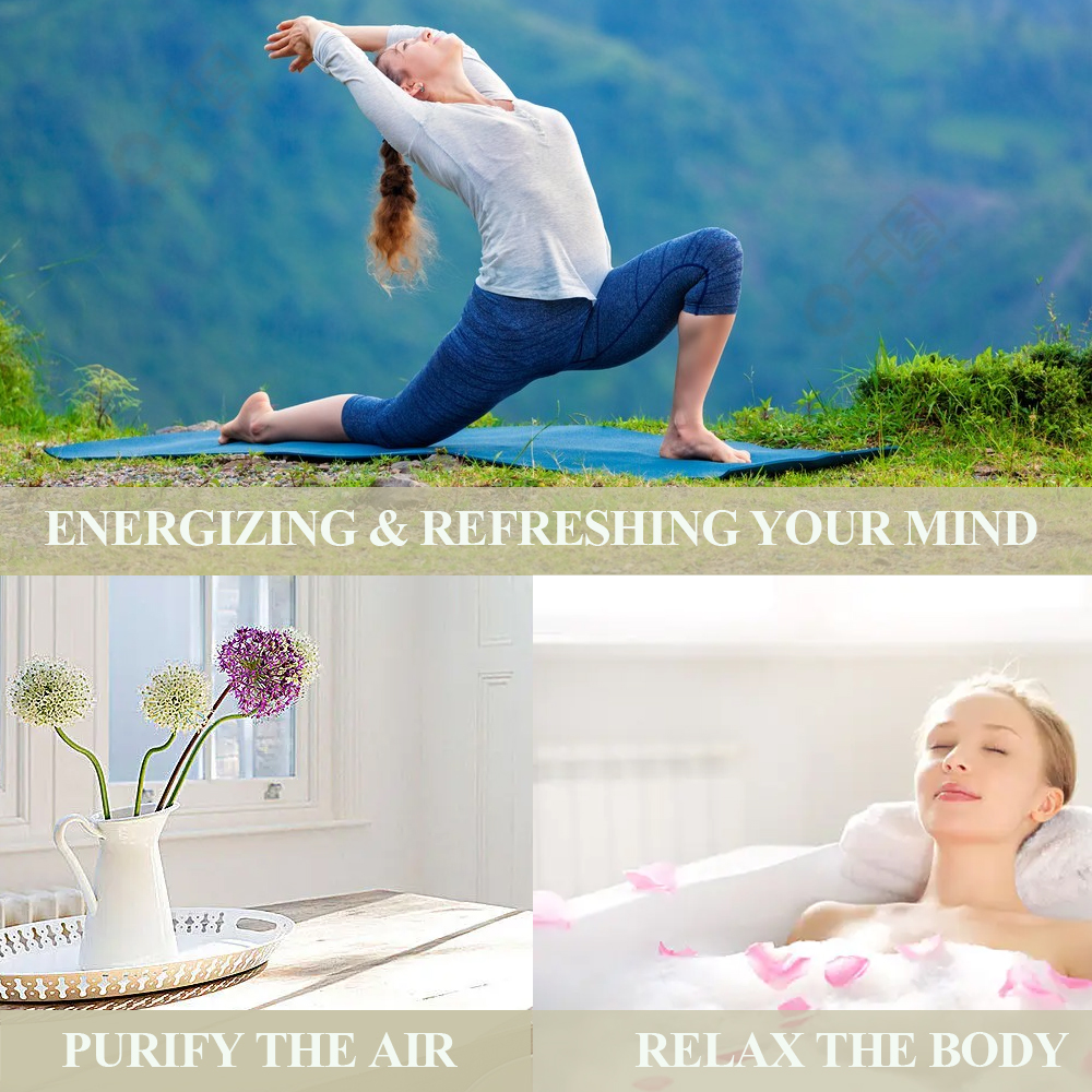 EUQEE 10ML Premium Fragrance Oil For Humidifier Diffuser Coconut Vanilla Forest Pine Sandalwood ...