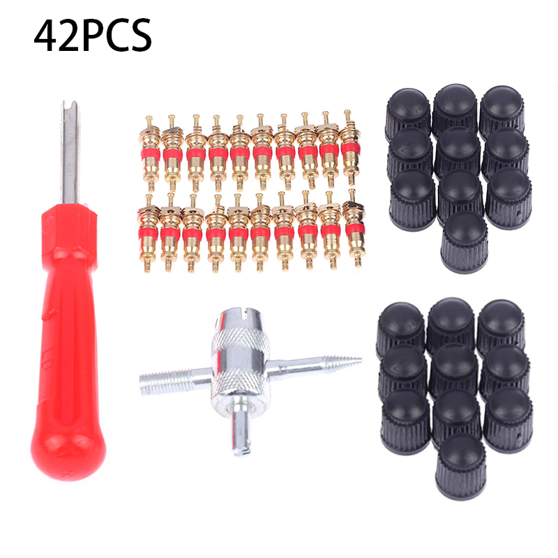 42PCS Tire Valve Service Kit Include Valve Core Remover 4-Way Valve ...