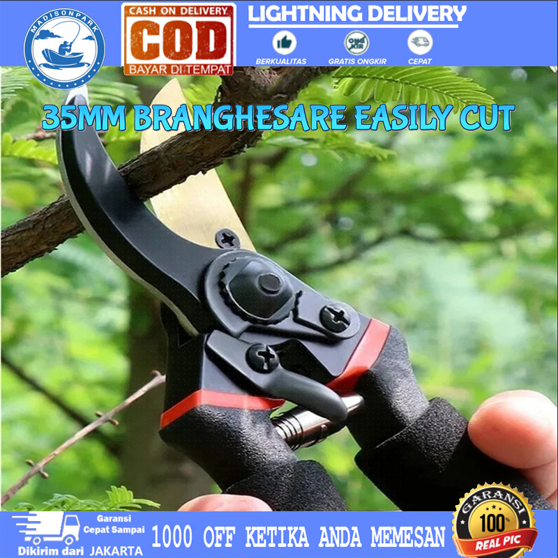 Gunting Dahan Ranting Pohon Buah Bercabang Tebal Gunting Tanaman Kebun ...