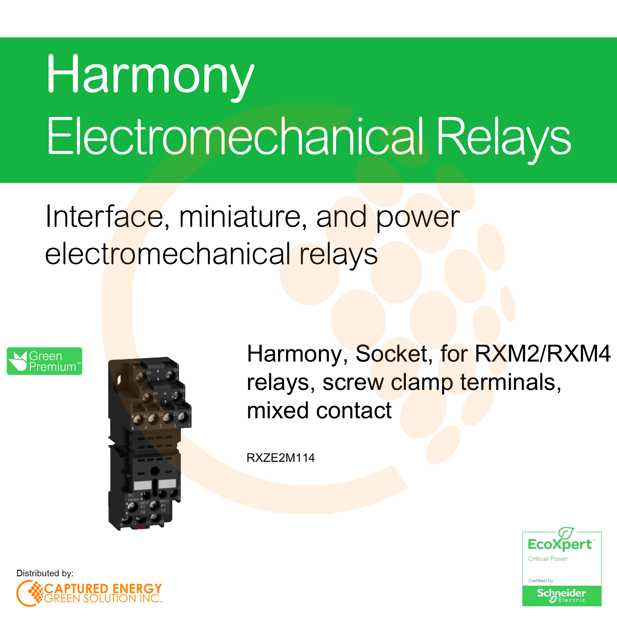 Schneider Electric Harmony RXM Miniature Relay 6A 4 C/O | Lazada PH