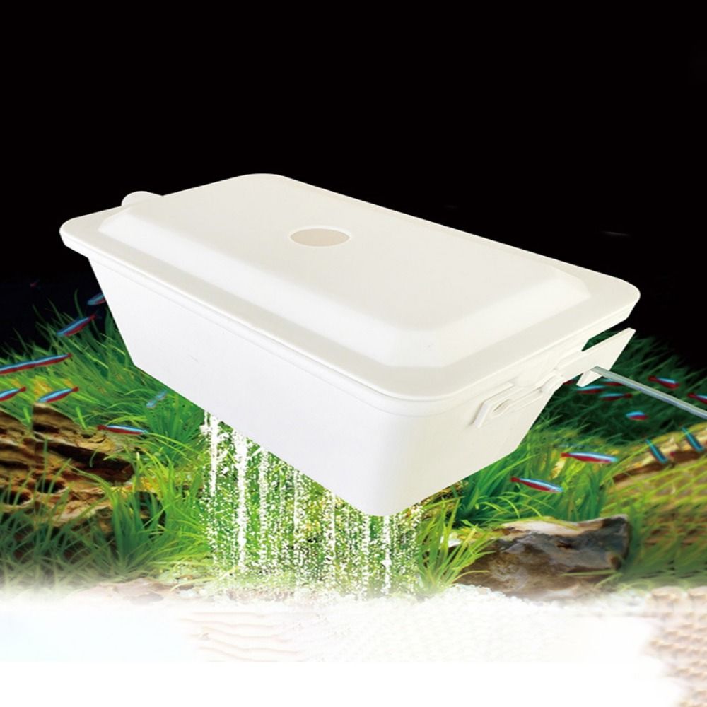 Practical Wall Mounted Hanging Filter Box Removable Plastic External ...