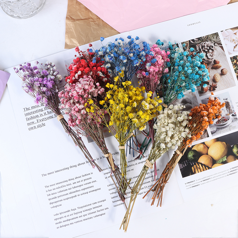 Daisy Star Flower Bouquet Natural Plants For DIY Home Decoraitve Dried ...