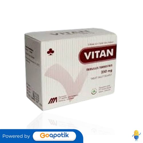 Vitan 250 Mg Box 20 Tablet | Lazada Indonesia