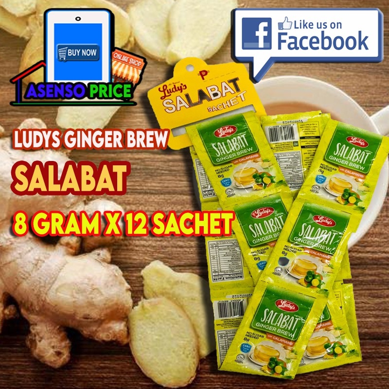 Ludy's Instant Salabat Ginger Brew - Plain 8g x 12sachets | Lazada PH