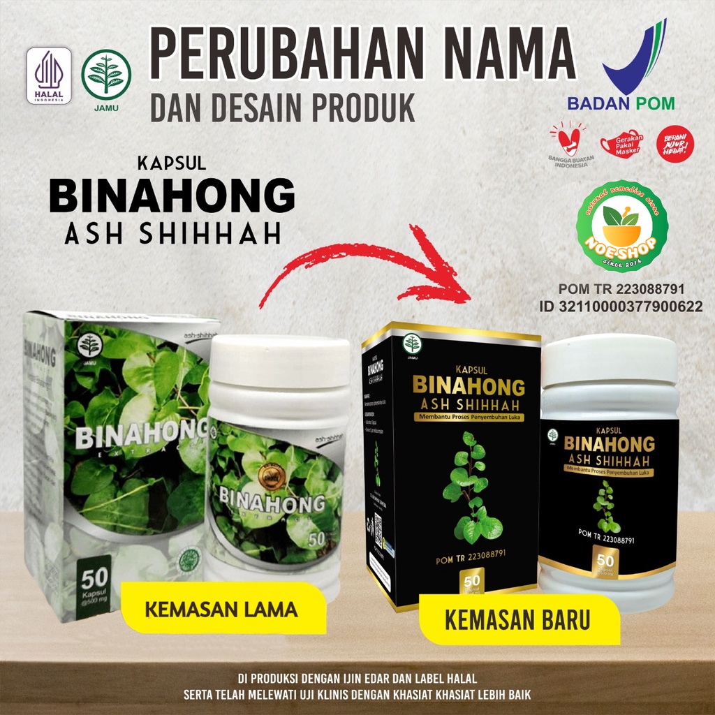 (BPOM) Kapsul Ekstrak Daun Binahong Ash-Shihhah Original MultiKhasiat | Lazada Indonesia