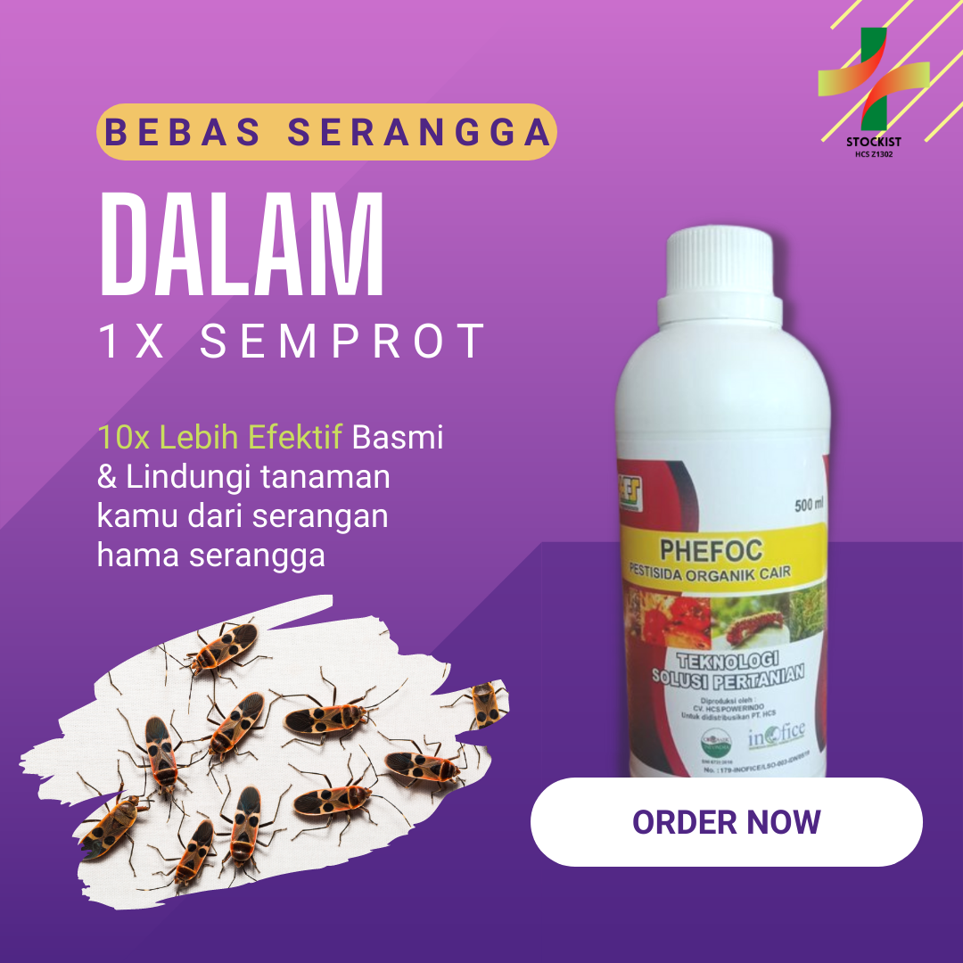 Obat Hama untuk Pohon Mangga Phefoc pestisida insektisida anti hama ...