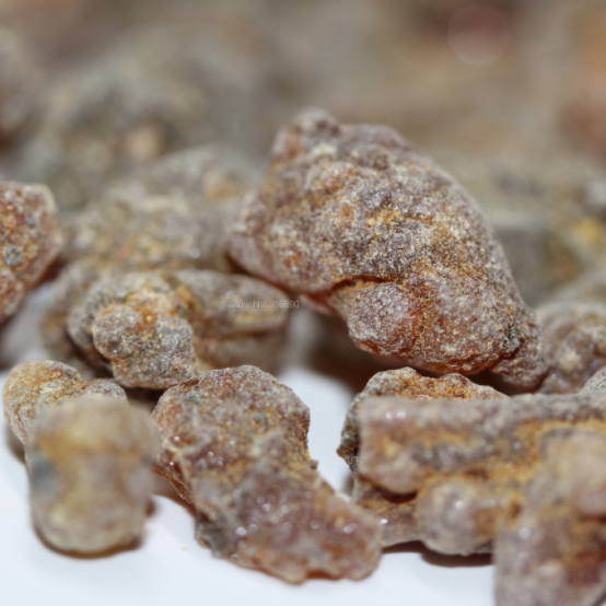 Myrrh Gum Resin Commiphora Myrrha Sacred Commiphora Myrrh Gum Resin ...