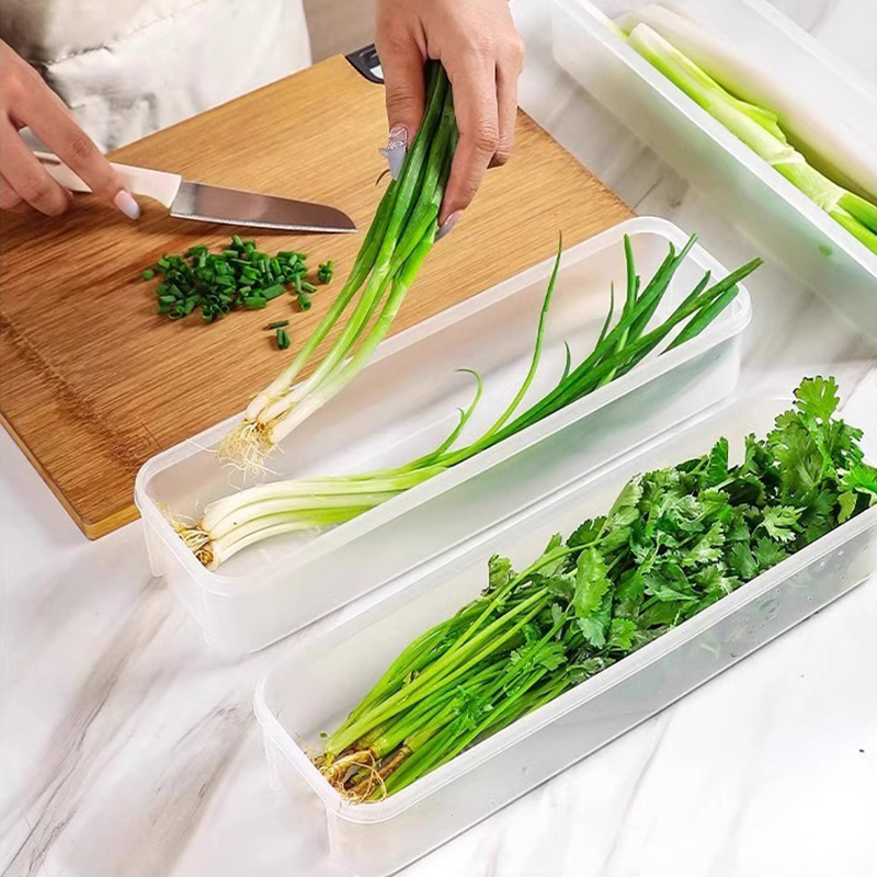 Noodle Storage Box Plastic Spaghetti Preservation Box Food Holder Fresh ...