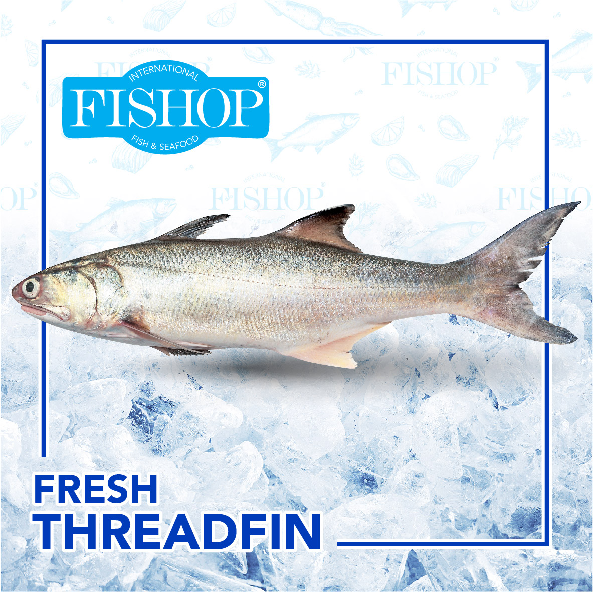 Threadfin Salmon Meat