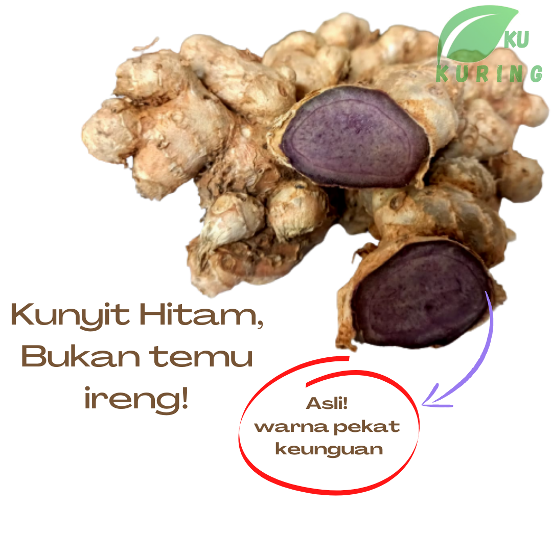 Herbal Rimpang Kunyit Hitam Asli 50 gram - bukan Temu ireng - 100% asli ...