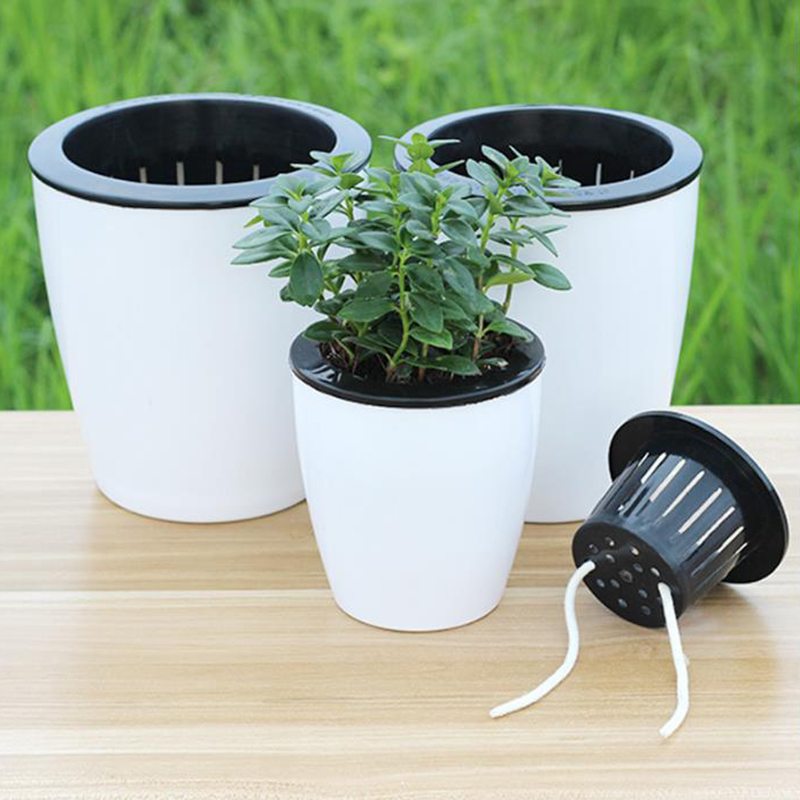 Automatic Water-absorbing Succulent Flower Pot Hydroponic Basin Fleshy ...