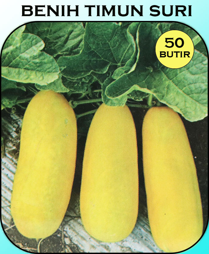 Benih Timun Suri Kemasan Repack isi 50 butir | Lazada Indonesia