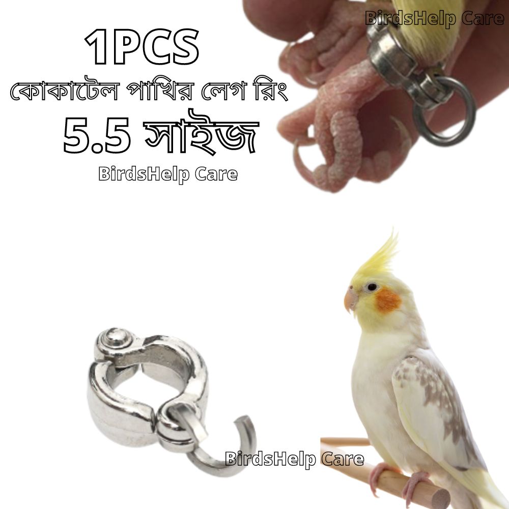 cockatiel bird leg ring 5.5mm size | Daraz.com.bd