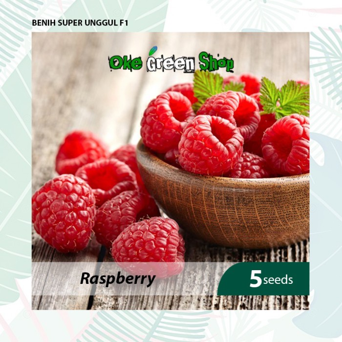 Benih Seribuan - 5 Biji Benih Bibit Raspberry Merah Fruit Seeds ...