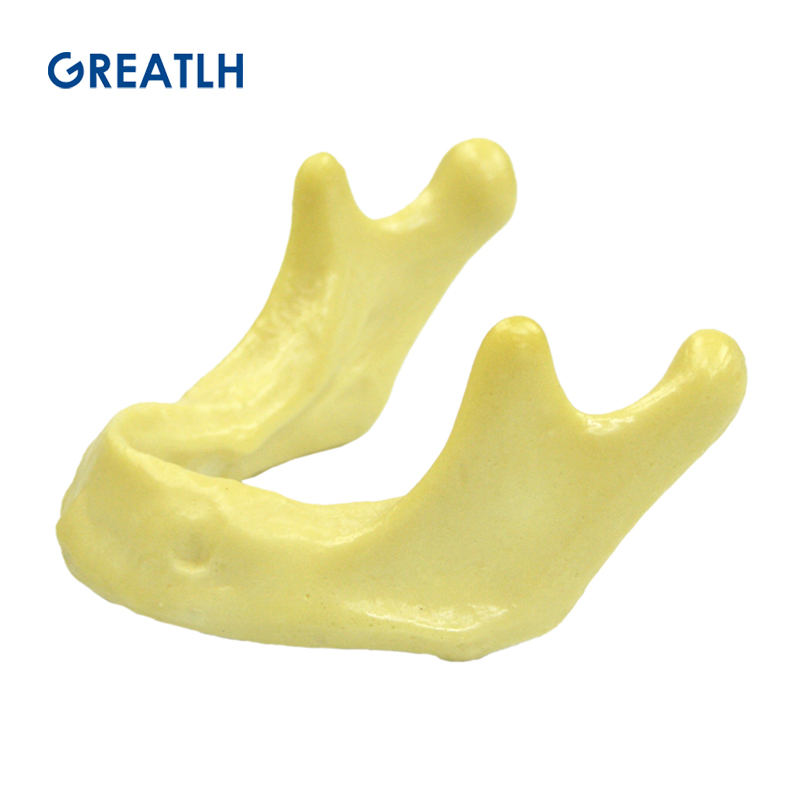 【High-quality】Dental Lower Jaw Model Mandibular Implant Model Dental ...