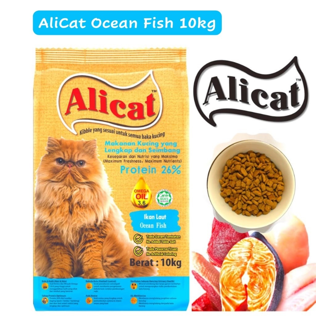 Cattus Cat Food 10kg Ocean fish with milk♀ | Lazada