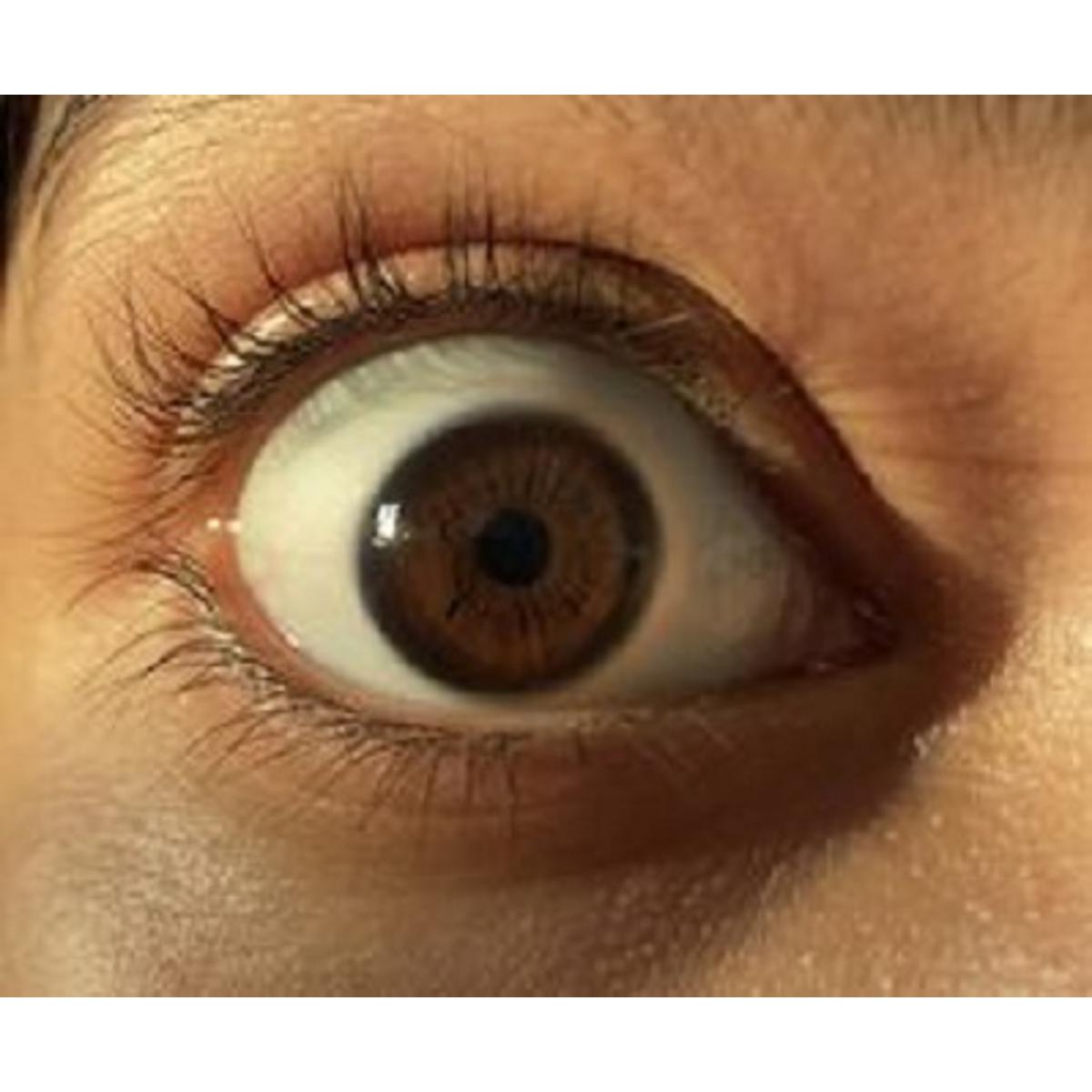 Stylish Color lens 3-tone Dark Brown Sea Blue Eye Contact Lenses With ...