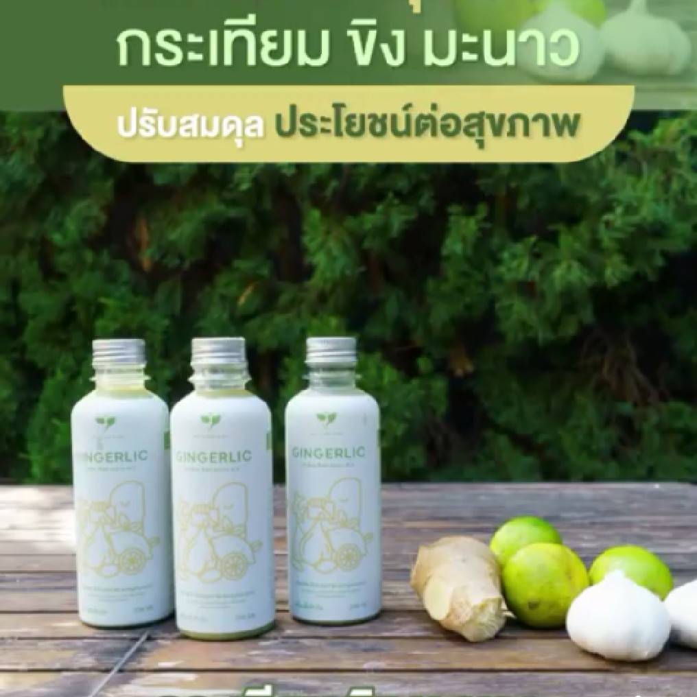Ginger lic น้ำสกัด กระเทียม ขิง มะนาว GINGERLIC เครื่องดื่ม พร้อมดื่ม อร่อย ชุ่มคอ ชื่นใจ 1 ขวด ...