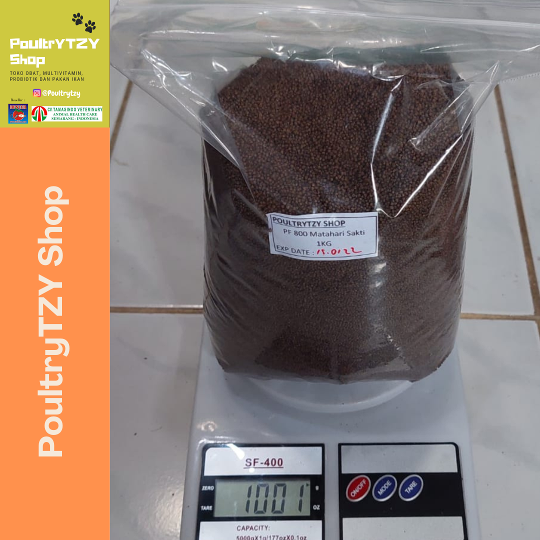 PRIMA FEED PF 800 REPACK 1KG PELET BENIH BIBIT IKAN LELE NILA CUPANG ...