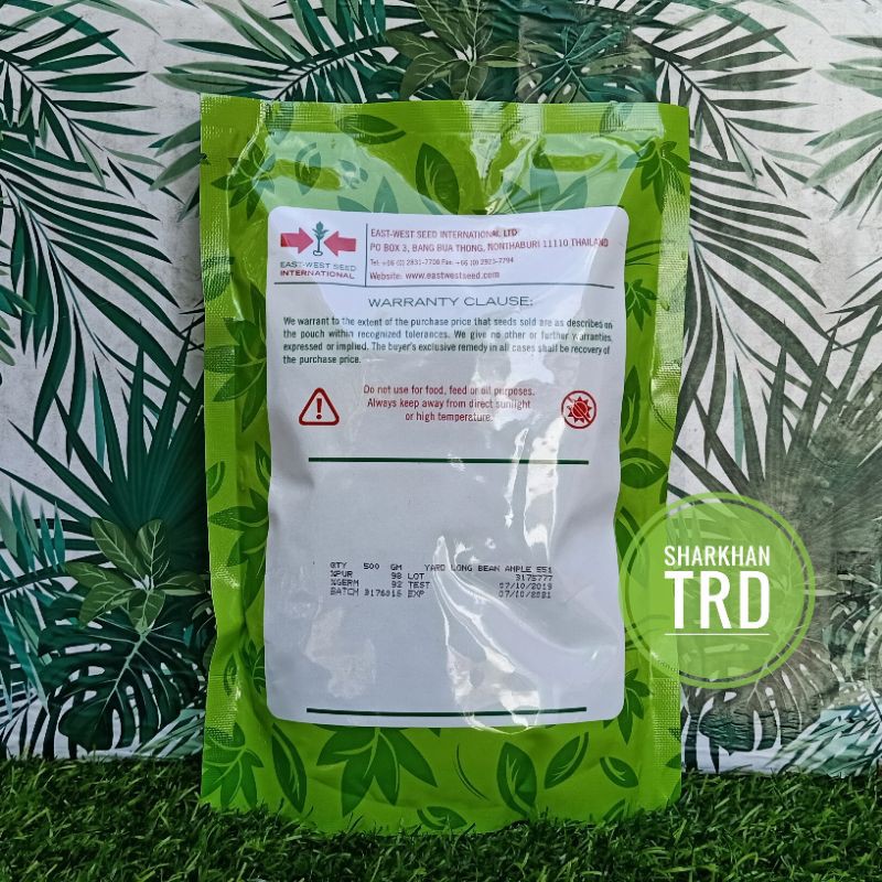 Paket 100g-500g AMPLE 551 Biji Benih Kacang Panjang Cap Panah Merah F1 Hybrid Yard Long Bean ...