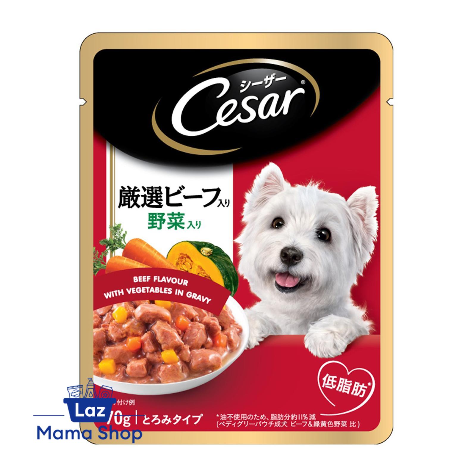 CESAR Pouch Dog Food Adult Beef Flavour With Vegetables In Gravy Dog ...