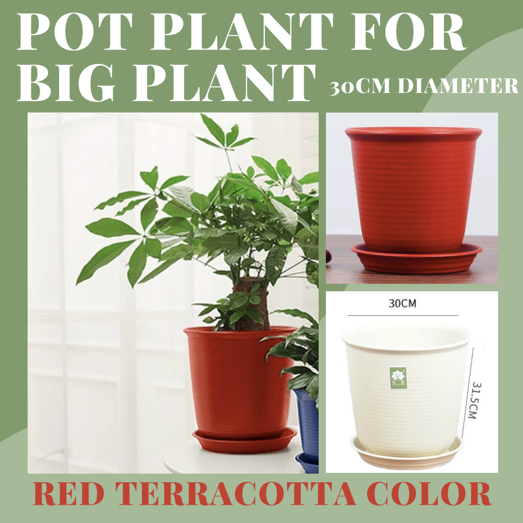 (READY STOCK) 30cm Dia x 31.5 Height Big Plant Pot Flower Pot Round ...