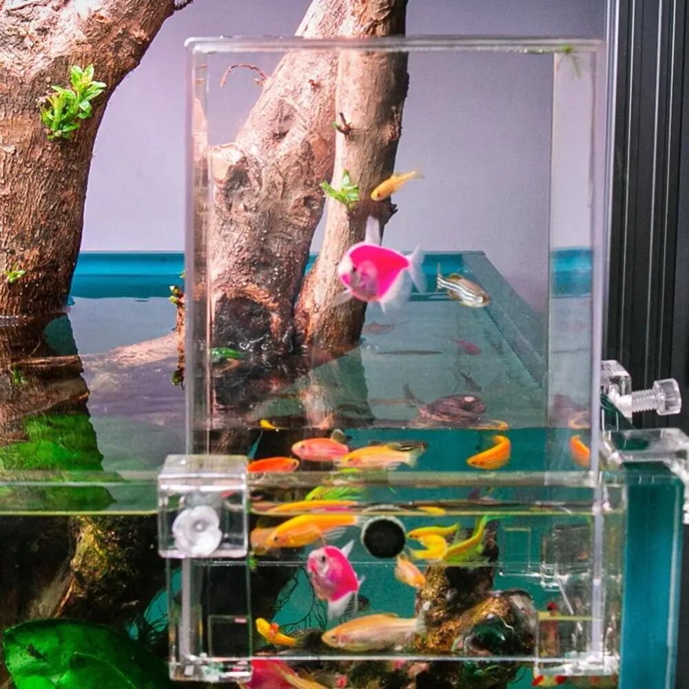 Aquarium Decor Bigger Space Fish Elevator Acrylic Convenient ...