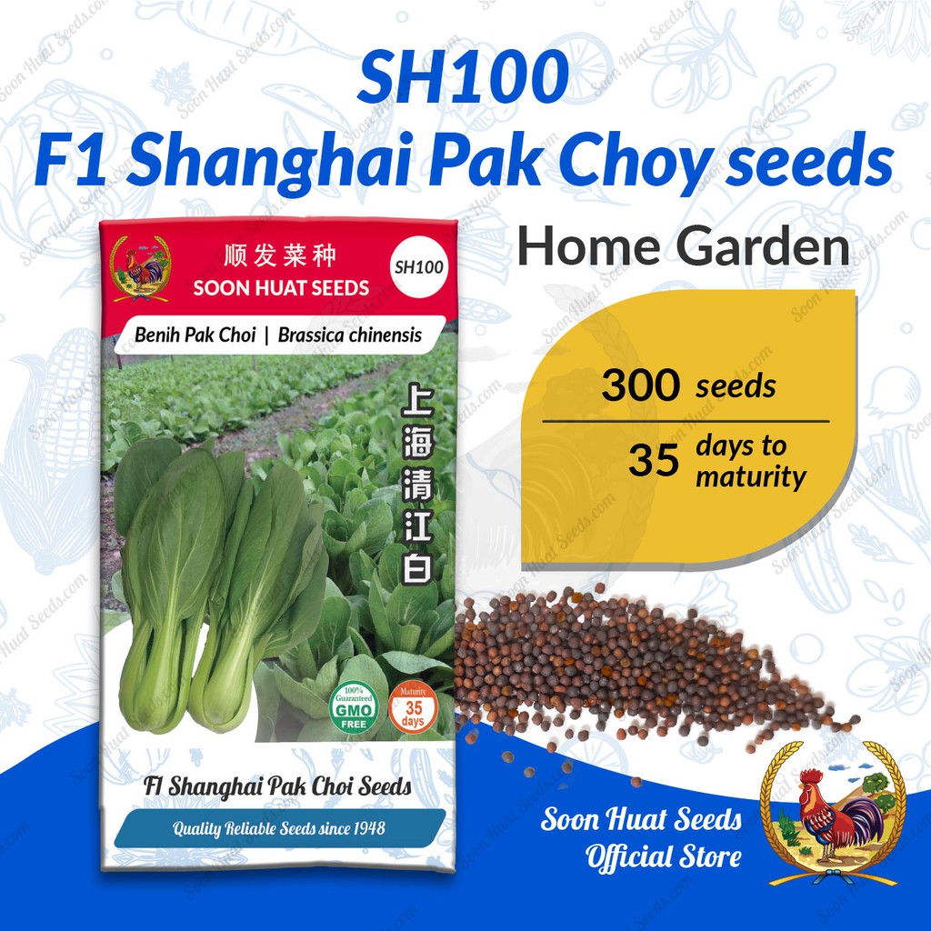 Soon Huat Benih Pak Choy Seeds 50 F1 Shanghai Pak Choy上海小白菜種子 | Lazada