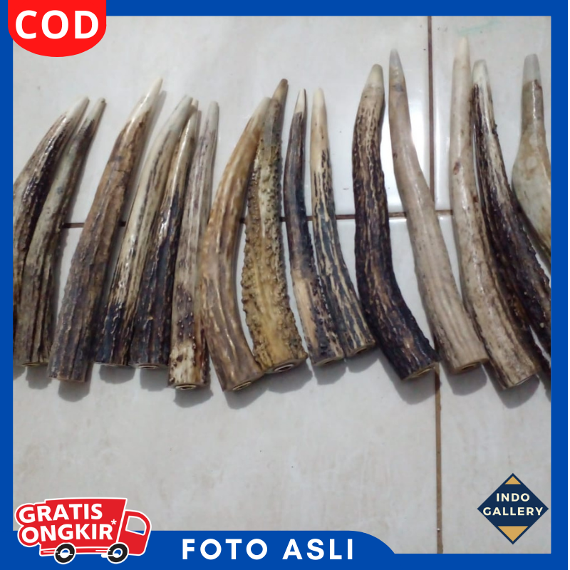 Pipa rokok Once Tanduk Rusa Hutan Asli lubang Multi | Lazada Indonesia