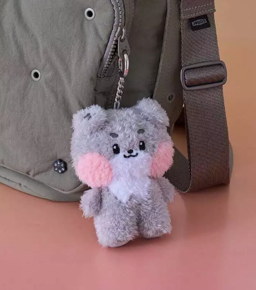 Kpop ZB1 Doll Keychain Zeroni Cartoon Cute Plush Doll Pendant Bag ...