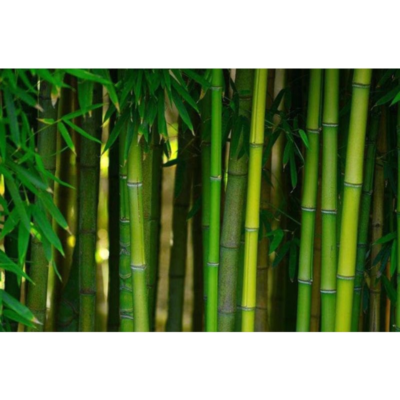 Folding screen divider, living room partition, penghadang solat ...