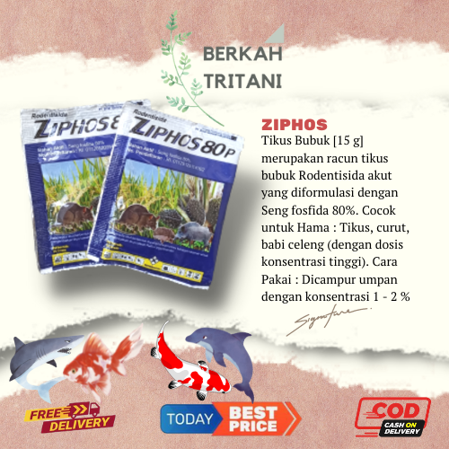 Ziphos 80p 15 Gram Rodentisida Racun Tikus | Lazada Indonesia