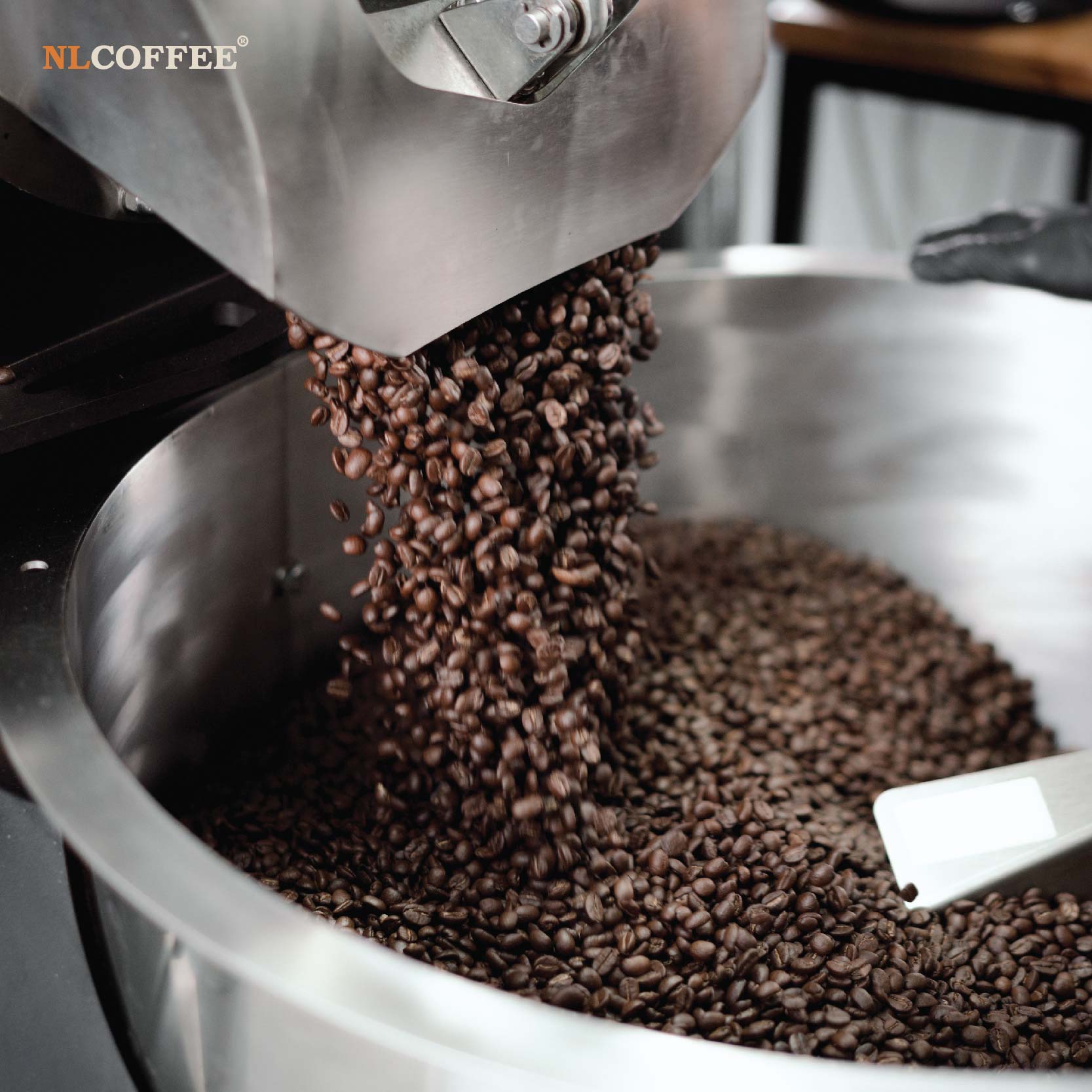 〚ɴʟᴄᴏғғᴇᴇ sᴘᴇᴄɪᴀʟᴛʏ〛เมล็ดกาแฟ Nutty Candy | นัทตี้แคนดี้ กาแฟกลุ่มเบลนด์พิเศษ 200 กรัม - เอ็นแอล ...