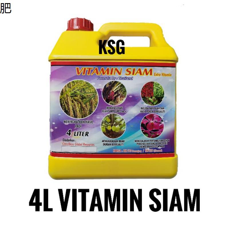 Vitamin Siam Ready Stock (Baja Semburan) 4 Liter | Lazada