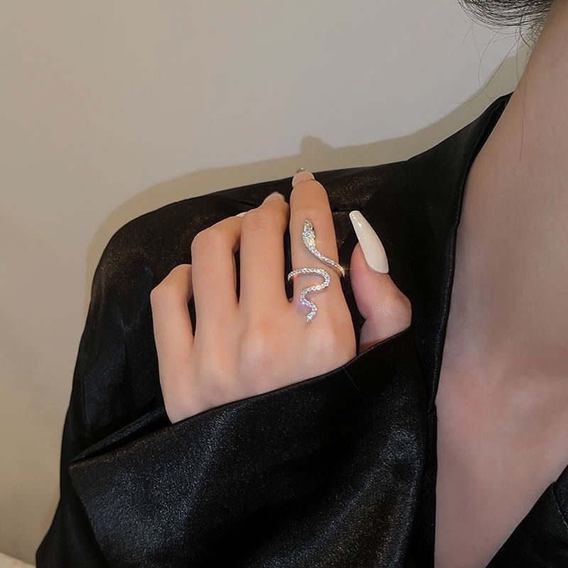 Snake Designer Ring Female Ins Student Niche Design Cold Style Advanced ...
