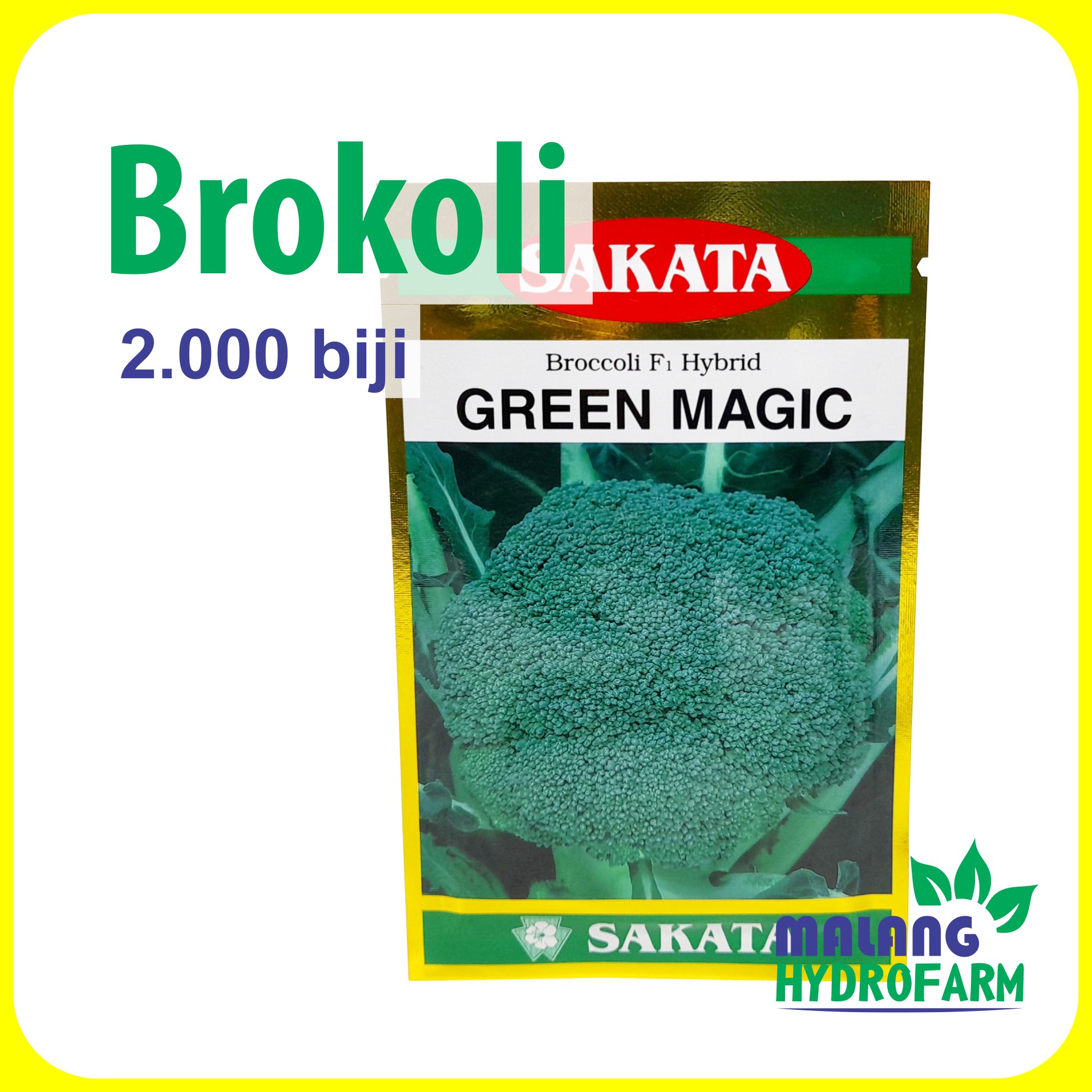 Benih Brokoli Green Magic F1 2000 biji sakata jepang 90 hari seed butir hydroponik kembang bunga ...