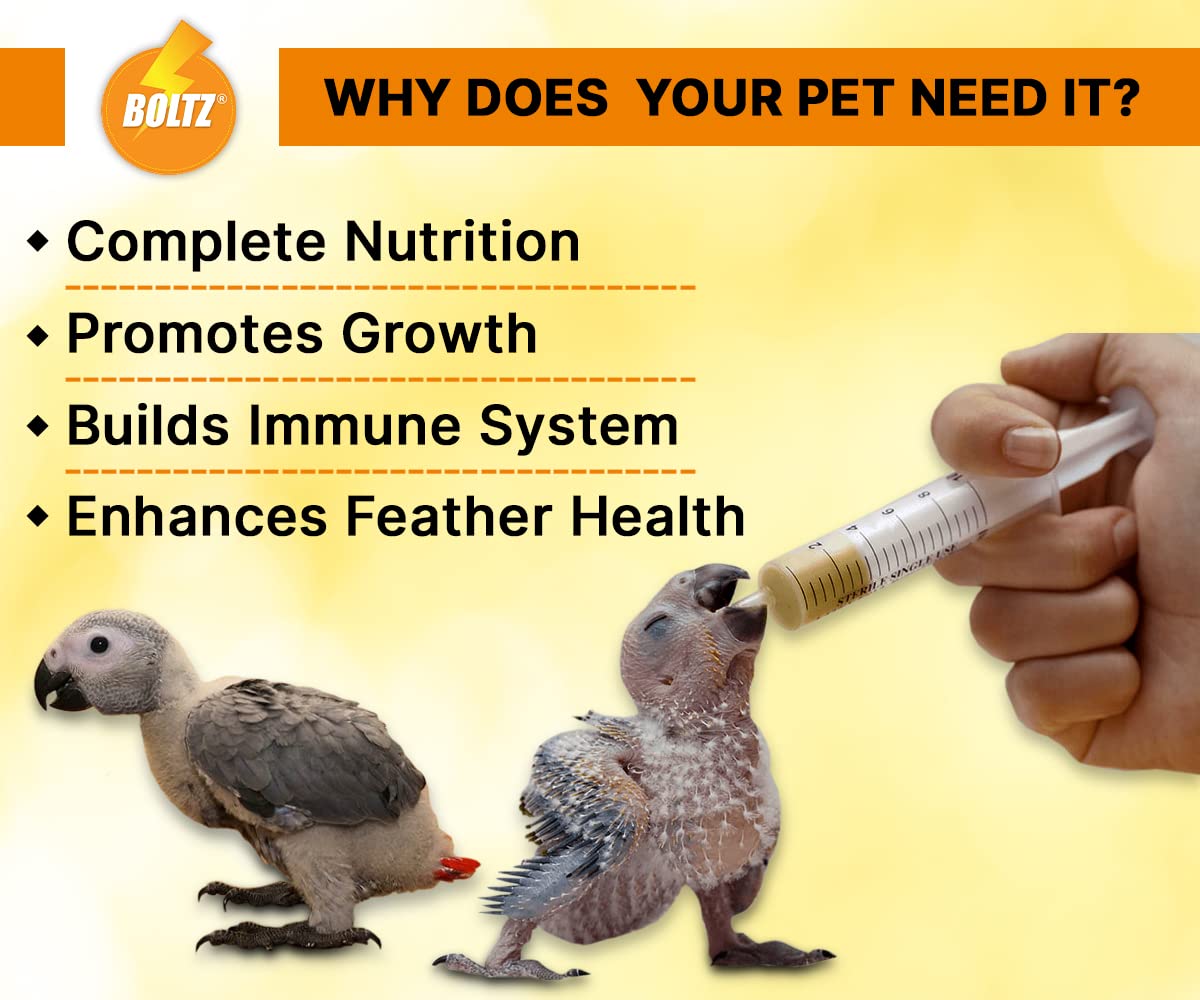 Boltz Natural Hand Feeding Formula for Birds -500 Gm for Exotic Baby ...