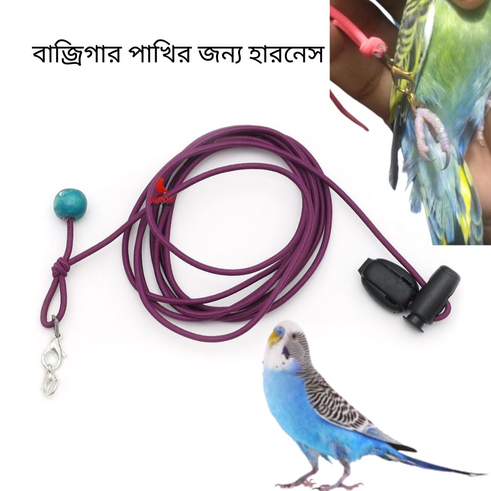 Birds Leg Chain For Budgerigar Birds Flying | Daraz.com.bd