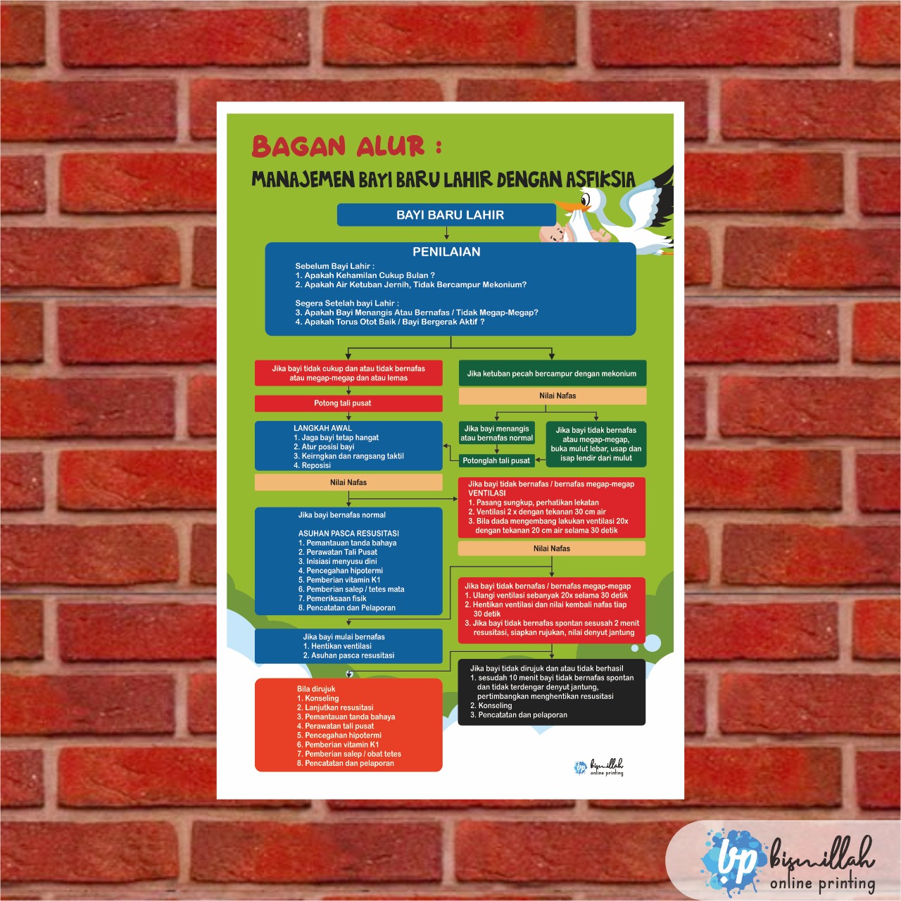 Poster Kebidanan Manajemen bayi baru lahir dgn asfiksia | Lazada Indonesia