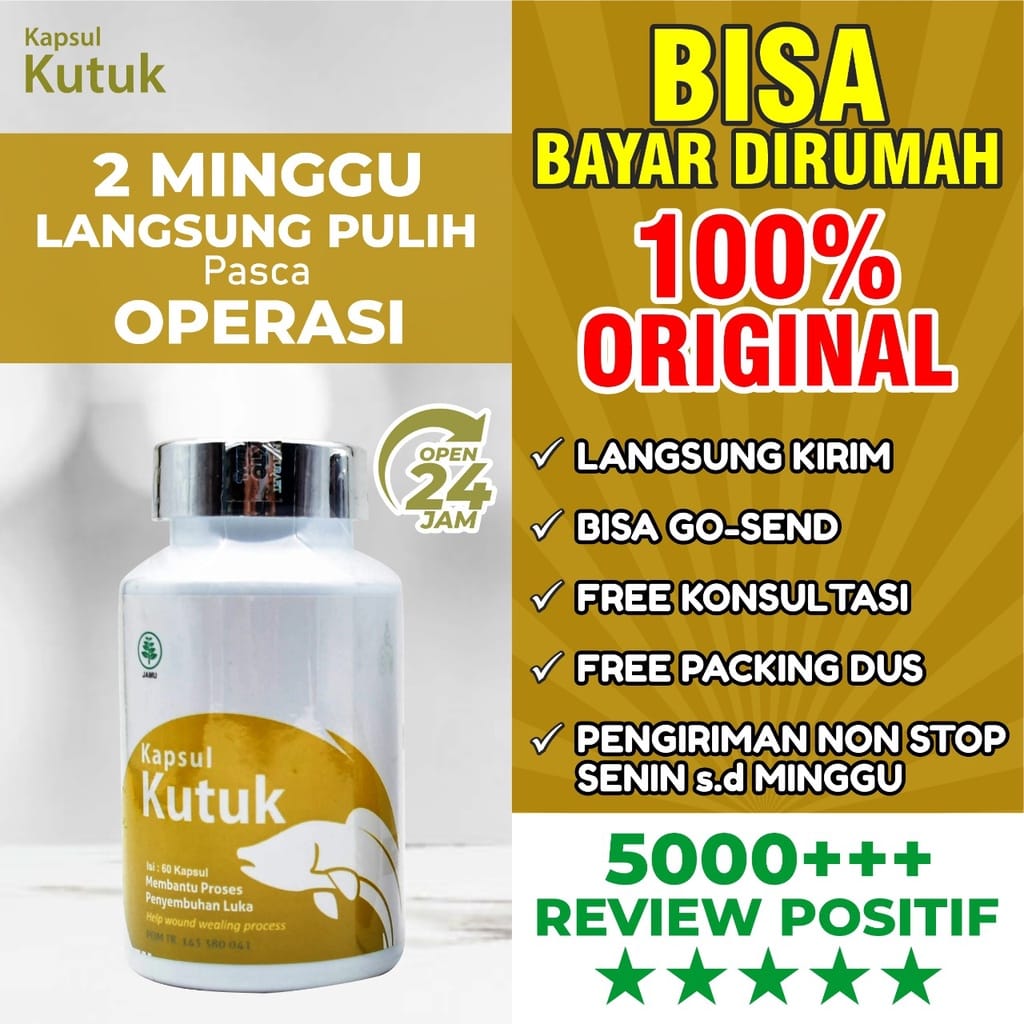 KAPSUL KUTUK PREMIUM Asli Original Pil Ikan Gabus Albumin Obat Setelah ...
