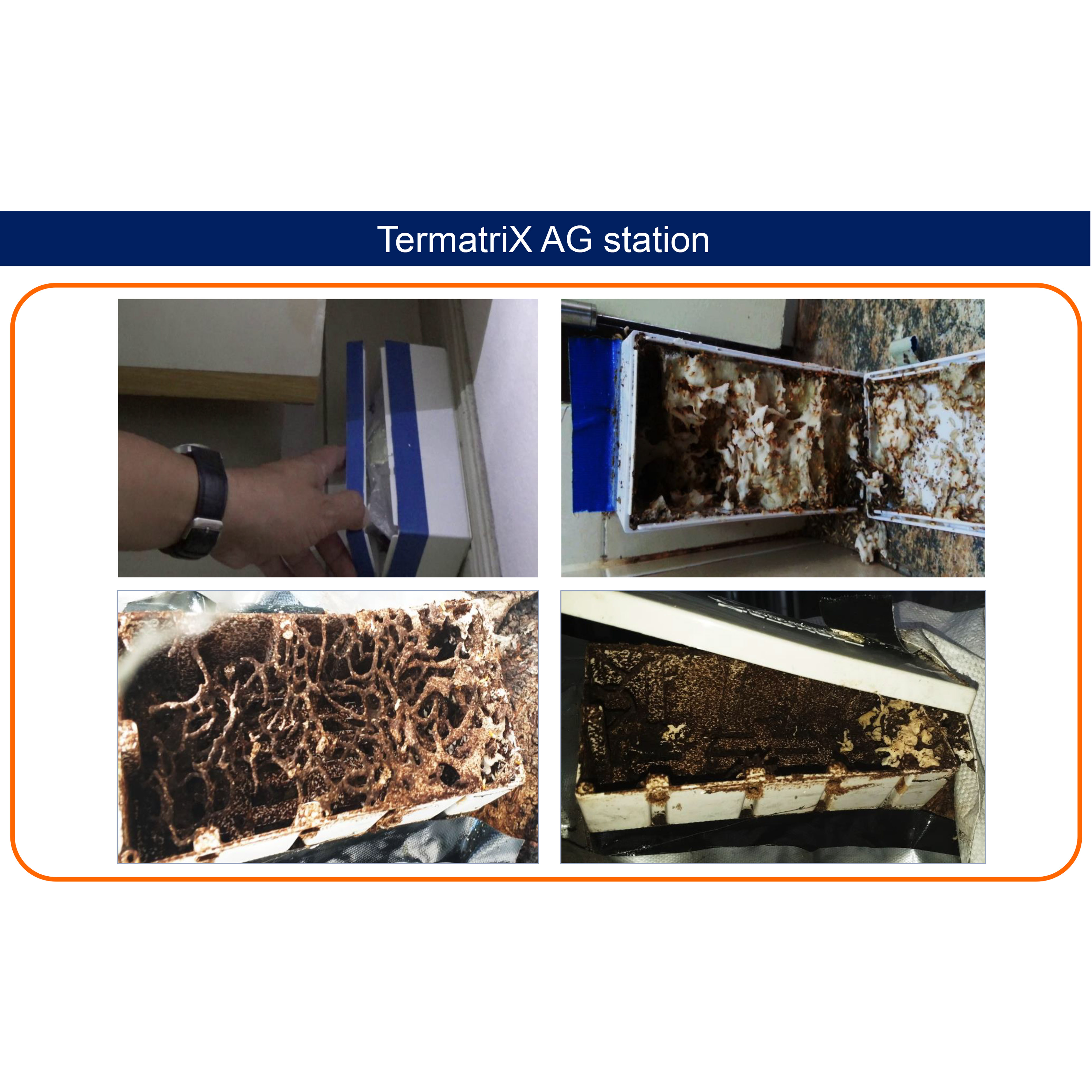 เหยื่อกำจัดปลวก เหยื่อปลวก สถานีใส่เหยื่อปลวก กล่องบรรจุเหยื่อปลวก สถานีสำหรับใส่เหยื่อ กล่องใส่ ...