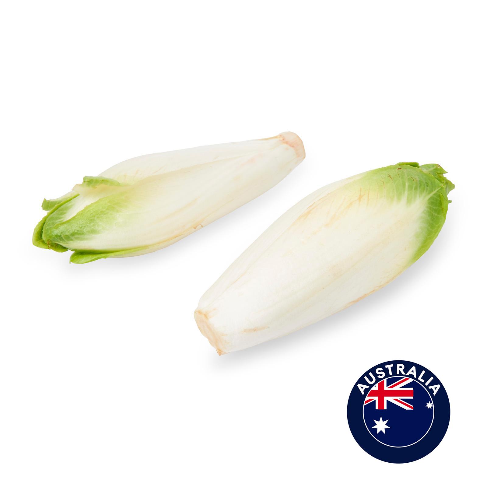 BELLVO Yellow Endive Holland | Lazada Singapore