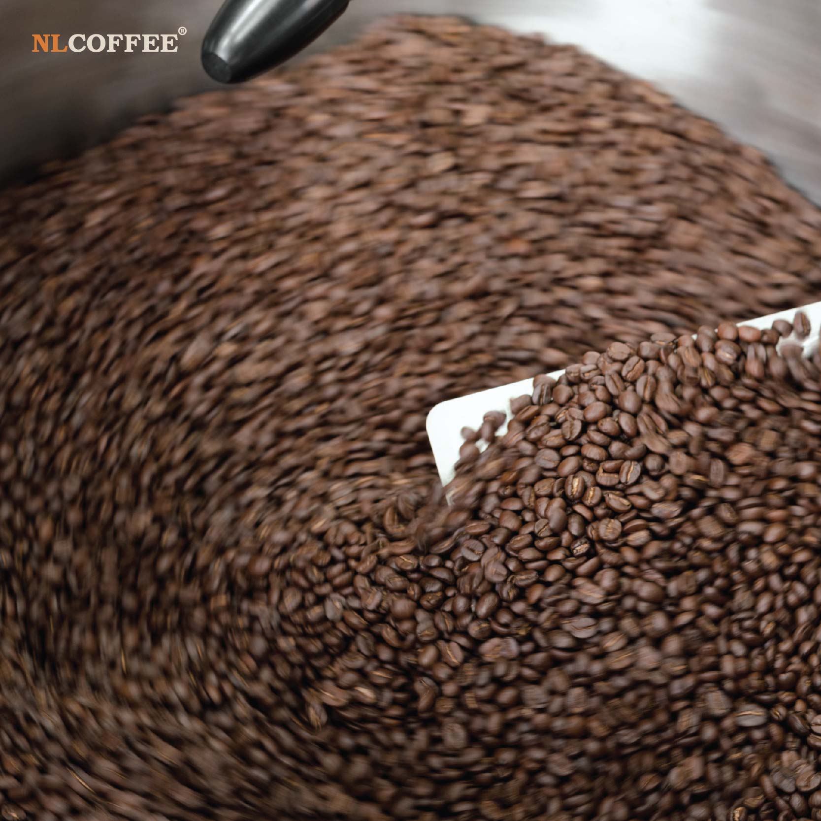 〚ɴʟᴄᴏғғᴇᴇ sᴘᴇᴄɪᴀʟᴛʏ〛เมล็ดกาแฟ Nutty Candy | นัทตี้แคนดี้ กาแฟกลุ่มเบลนด์พิเศษ 200 กรัม - เอ็นแอล ...