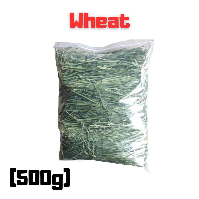 Premium Hay Dried Hay Grass (500g) Timothy Alfafa Wheat Oat Barley ...