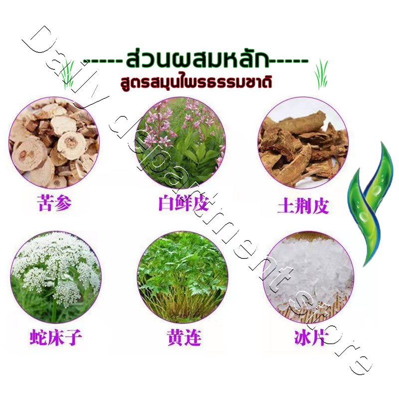 [จัดส่งทันท] GangYa รุ่นใหม่ล่าสุด????ให้น้องสาวคงความสาวตลอดไป YONI ...