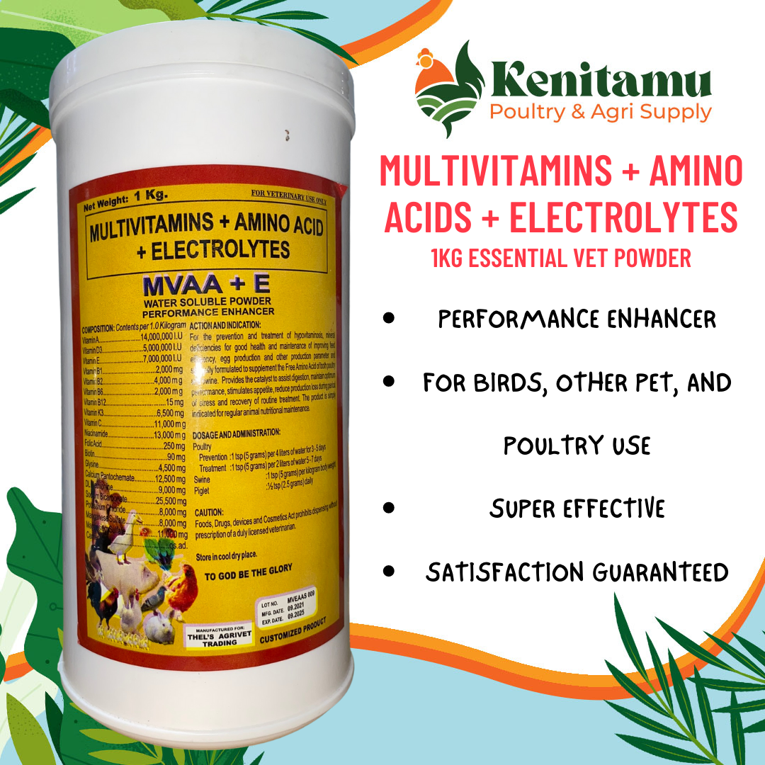 MULTIVITAMINS + AMINO ACIDS + ELECTROLYTES MVAA+E 1KG ESSENTIAL VET ...