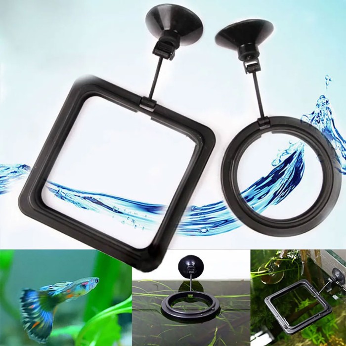 Ring Tempat Makan Ikan Feeding Floating Food Tray Fish Tank 154 ...