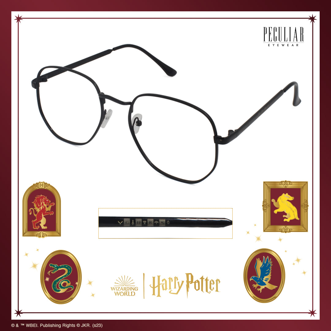 Peculiar Harry Potter Hogwarts Icon Deco Eyewear Collection | Lazada PH