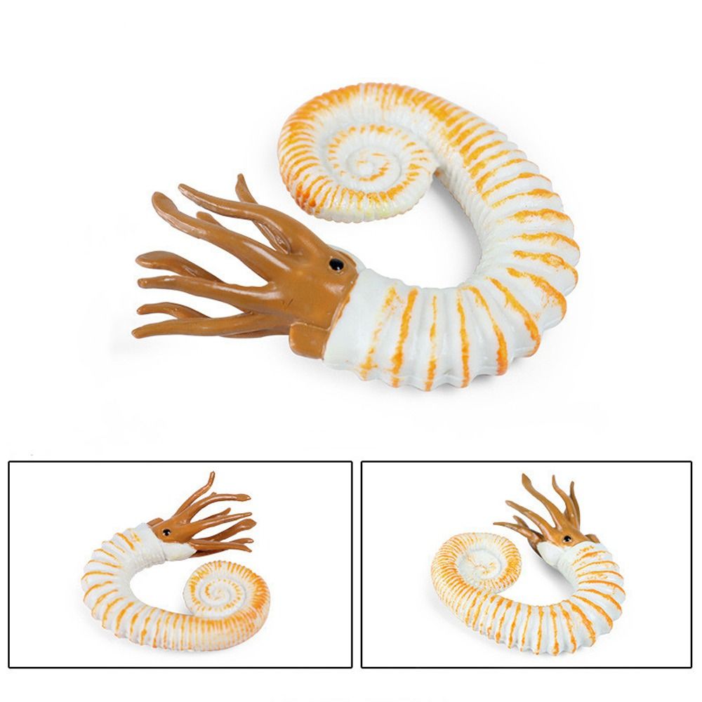 Baculites Prehistoric Ocean Animal Figure Nautilus Simulation Marine ...
